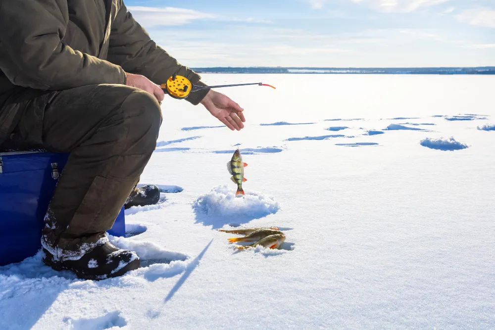 Ice Fishing for Perch – Best Jigs & Depth Tips